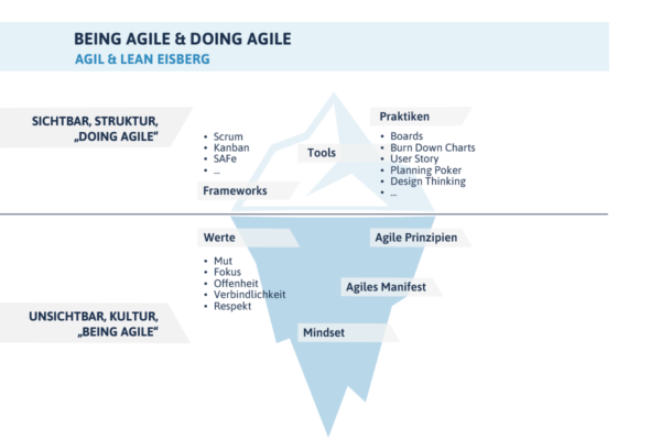 Agile Mindset in Organizations - EFS Consulting