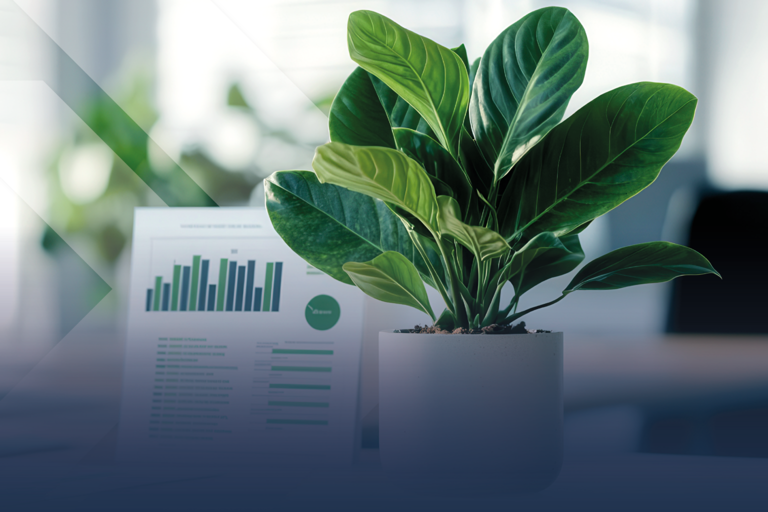 Linear Economy Explained- EFS Consulting